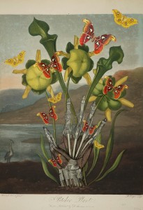 Collage art by Travis Bedel - The re:art